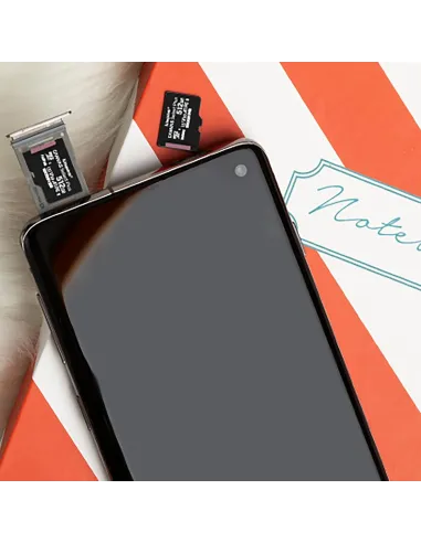 Tarjeta microSD Kingston Canvas Select Plus 256GB