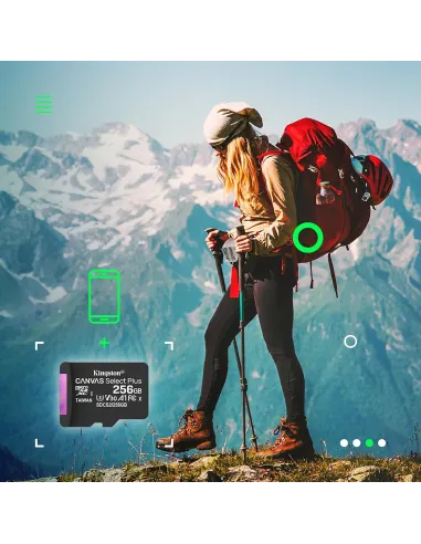 Tarjeta microSD Kingston Canvas Select Plus 256GB