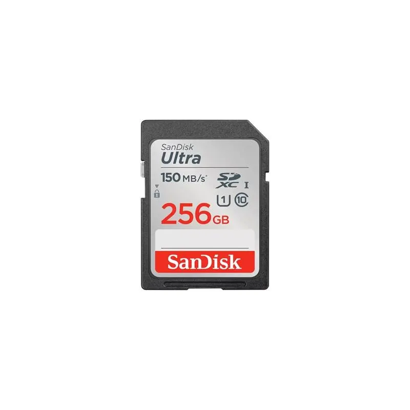 SanDisk Ultra 256 GB